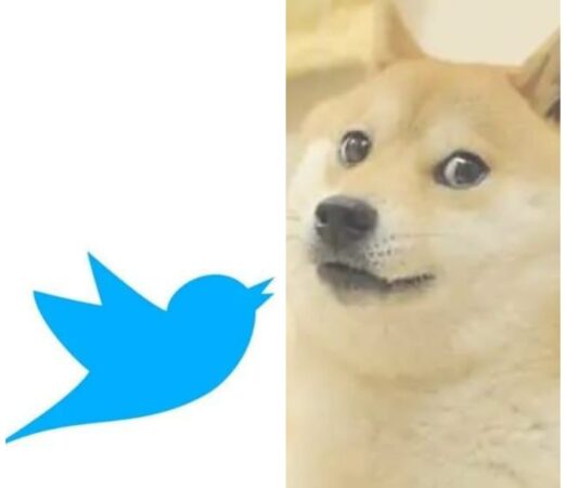 Twitter's Blue Bird logo replaced with 'Doge' meme: Here's why - The ...